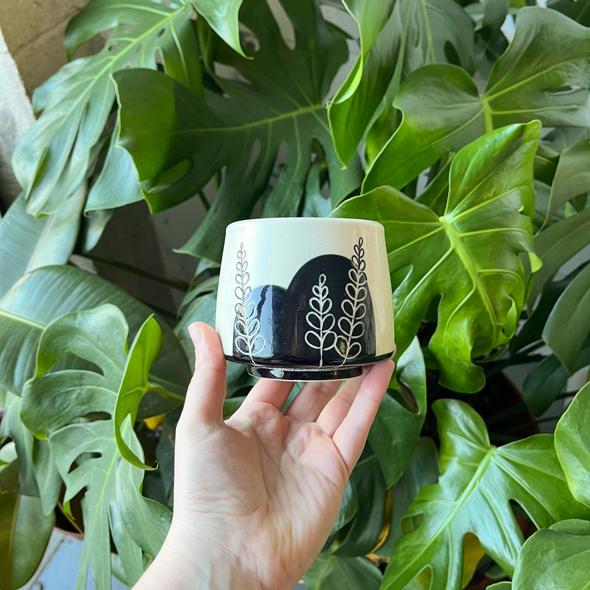 Black Fern Cup – Tiny Cloud Ceramics